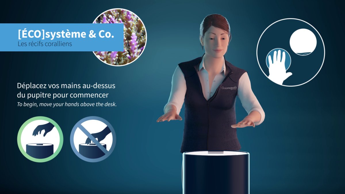 Dispositif Animation – Polymorph