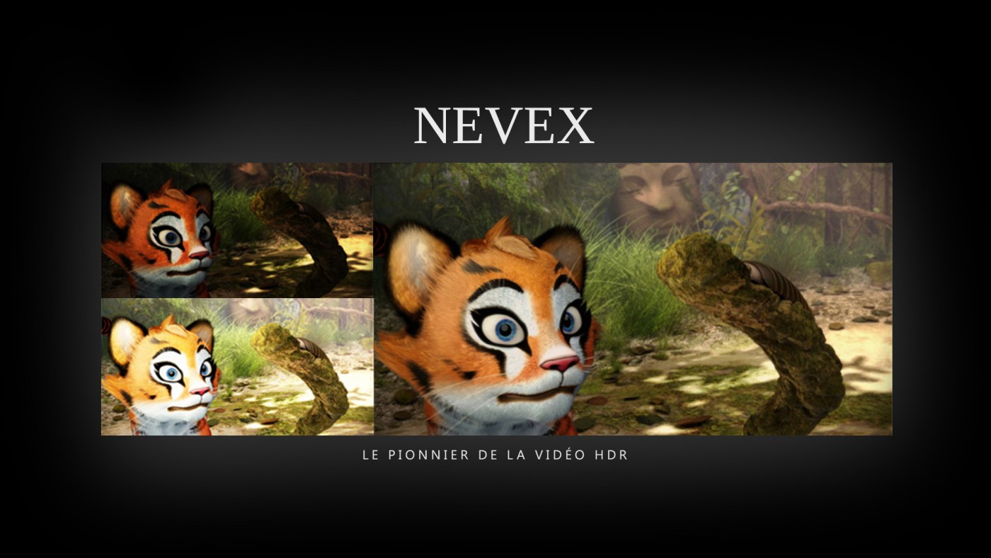 NEVEX – Polymorph